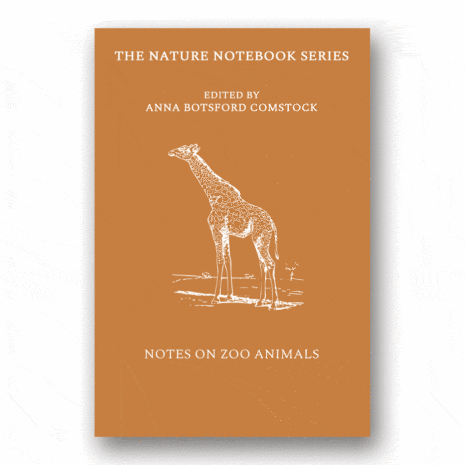 Nature Notebook Bundle by | Living Book Press