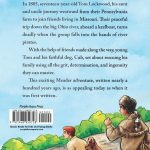 Pair of Red Clogs - Paperback by Masako Matsuno | Living Book Press
