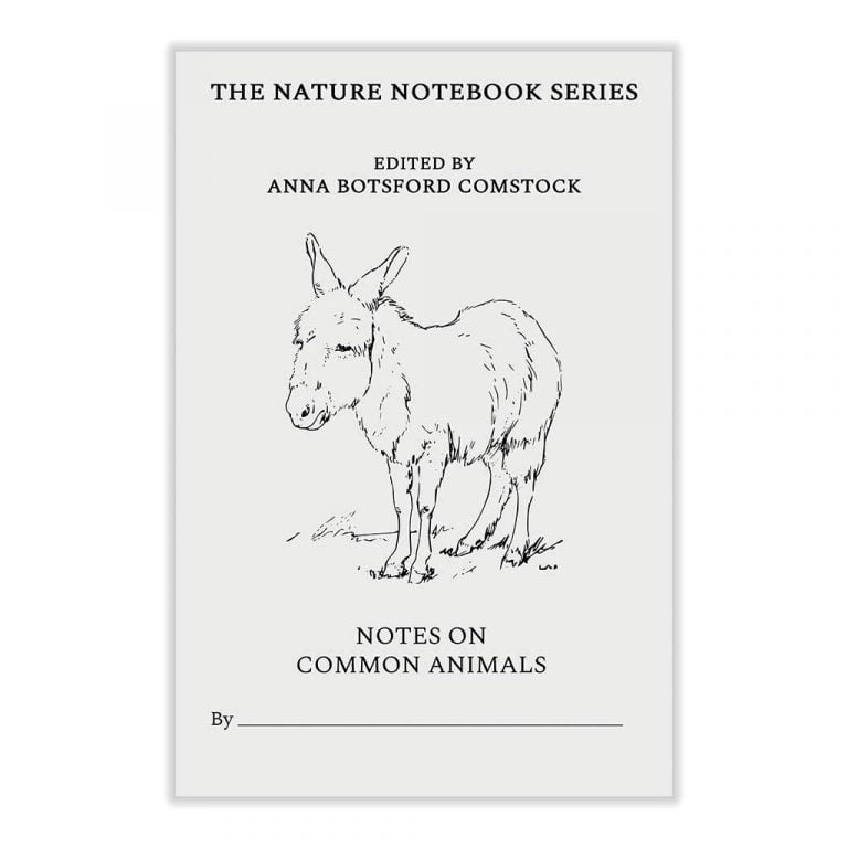 Nature Notebook Bundle by | Living Book Press